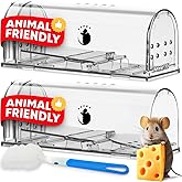 Amazon.com : Motel Mouse Humane No Kill Live Catch and Release Mouse ...