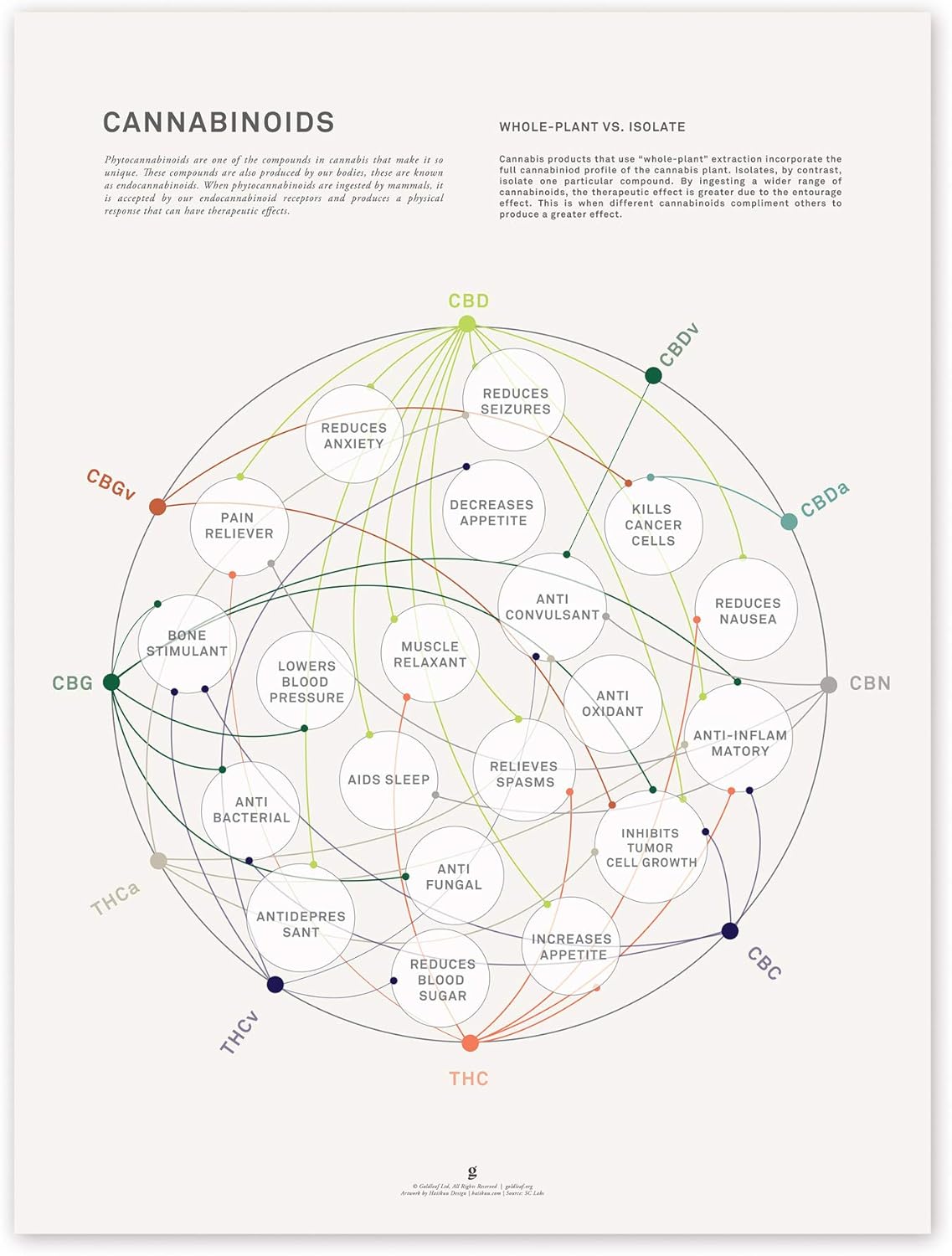 Amazon.com: goldleaf Cannabinoid Health Matrix Print, Cannabis ...