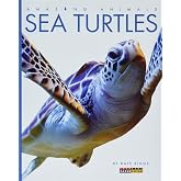 Sea Turtles: Ocean Nomads: Cerullo, Mary M., Rotman, Jeffrey L ...