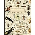 Composition Notebook: Vintage Insect Illustration. Entomology Science ...