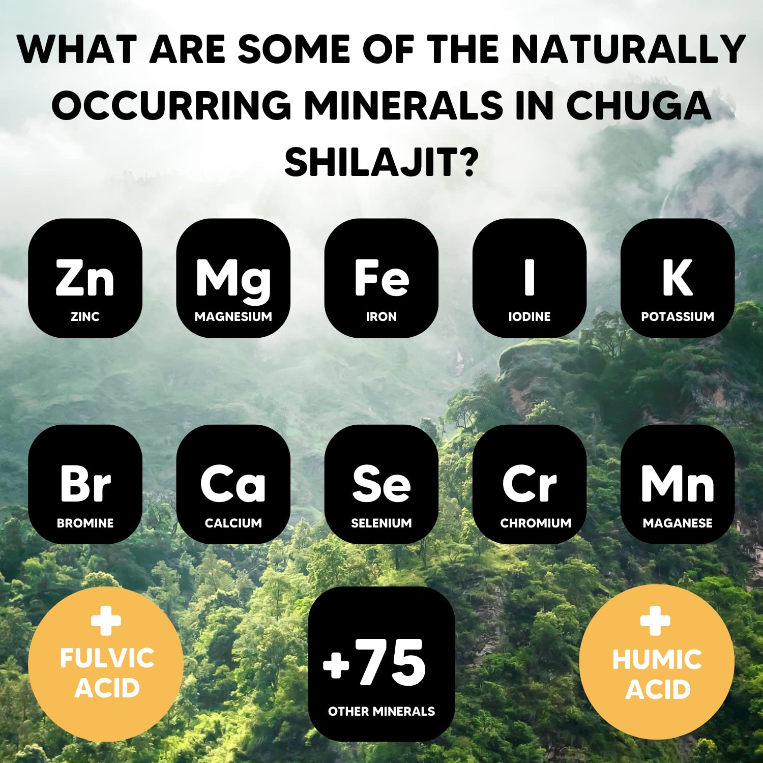 Mua Chuga's Pure Himalayan Shilajit for Men & Women | Organic Shilajit ...