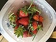 Amazon.com: Burpee ' Seascape' Strawberry Fruit | 25 Bare Root, Plants ...