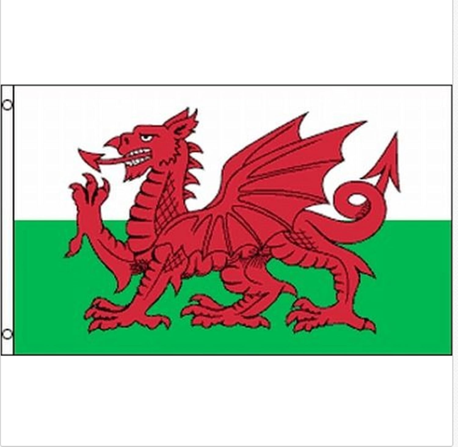 Amazon.com : USA Premium Store Flag of Wales 3x5 Welsh Banner UK Red ...
