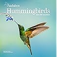 Amazon.com: Audubon Hummingbirds Mini Wall Calendar 2025: 9781523526611 ...