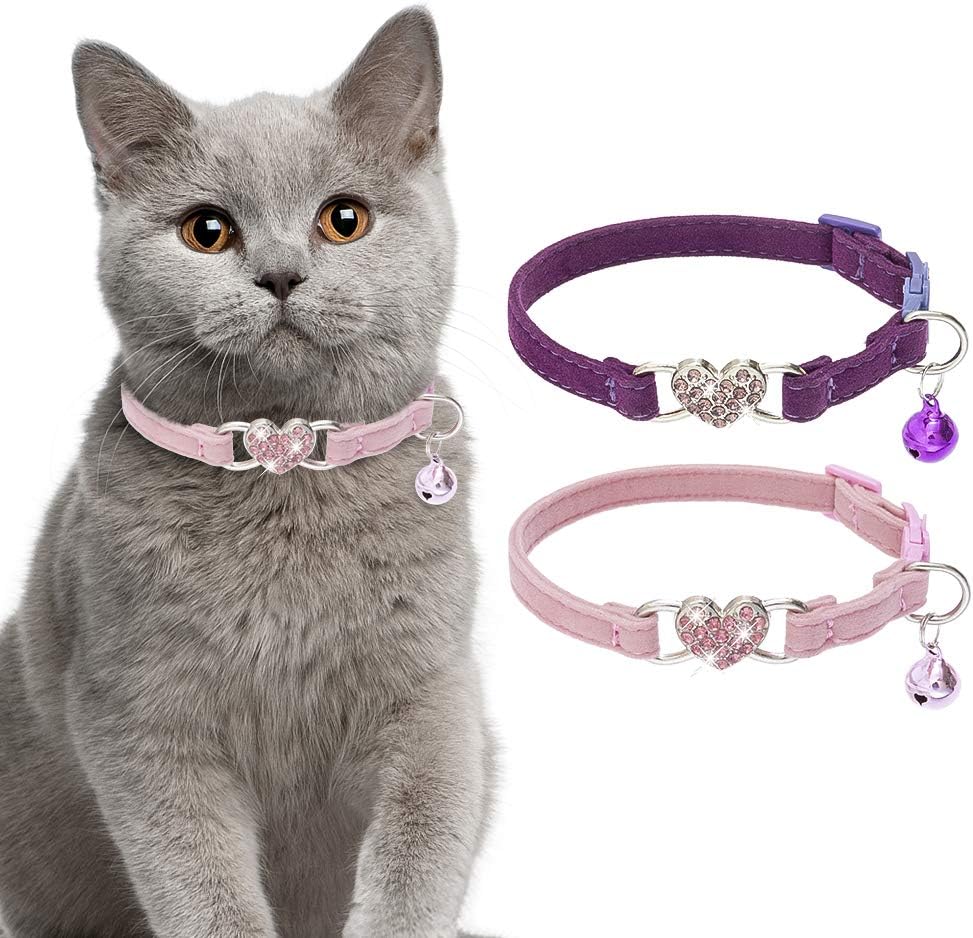 BINGPET Collar de gato con campana, collar de seguridad con terciopelo ...