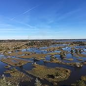 Amazon.com: The Leangains Method: The Art of Getting Ripped. Researched ...