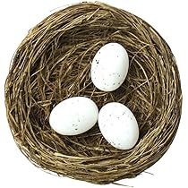 Huevos En La Hierba Imágenes De Huevos En El Campo Libres De Derechos