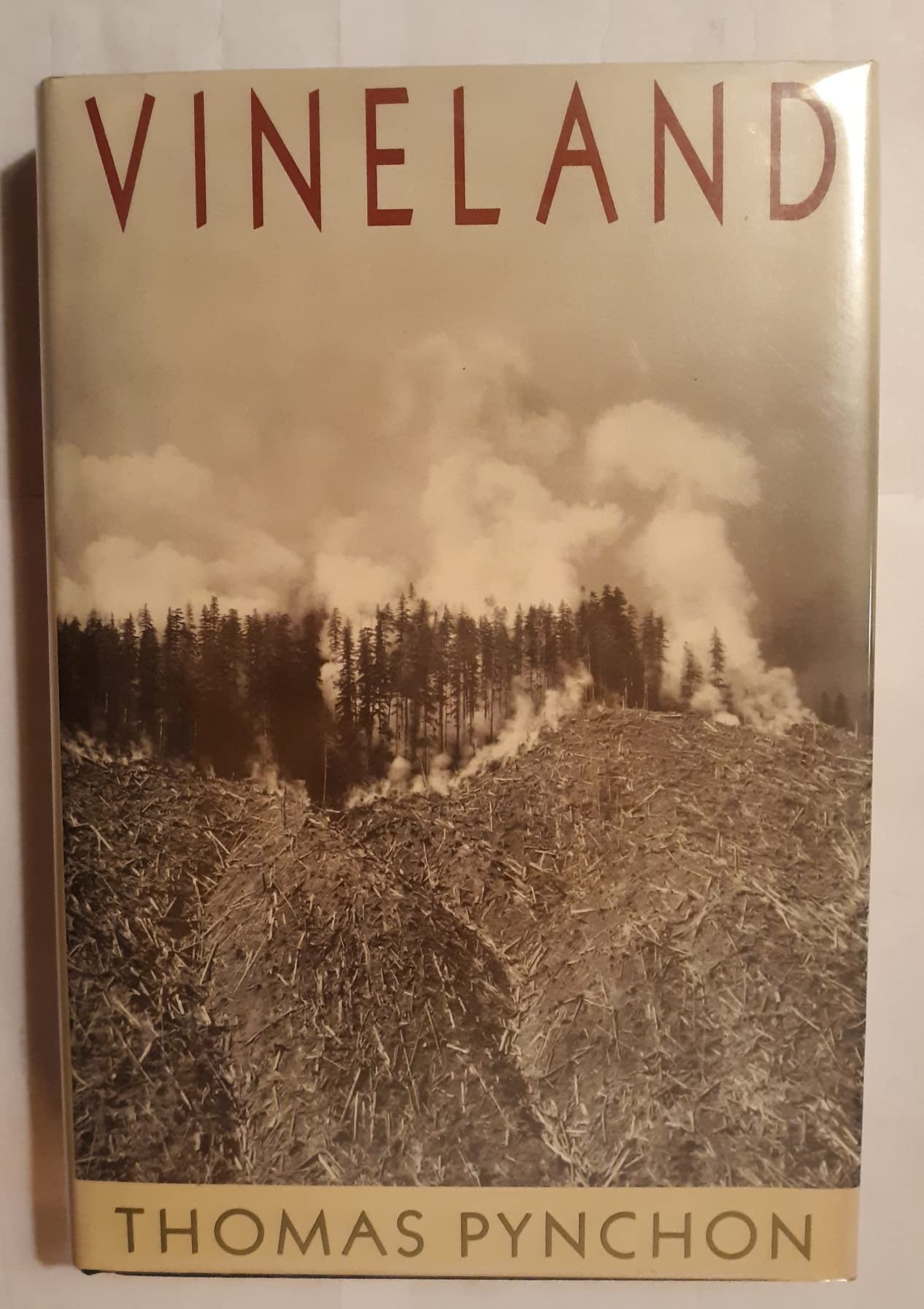 Vineland Pynchon