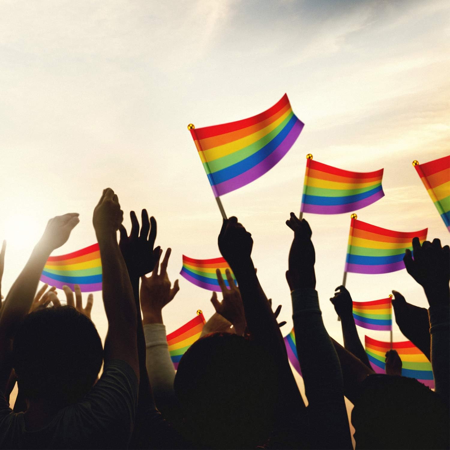24 Pieces Rainbow Flags Rainbow Hand Held Flags and 48 Pieces Rainbow ...