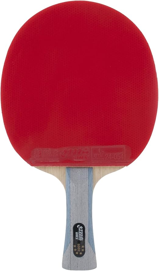 DHS Ping Pong Paddle A6002, Tisch Tennisschläger – Shakehand: Amazon.de ...