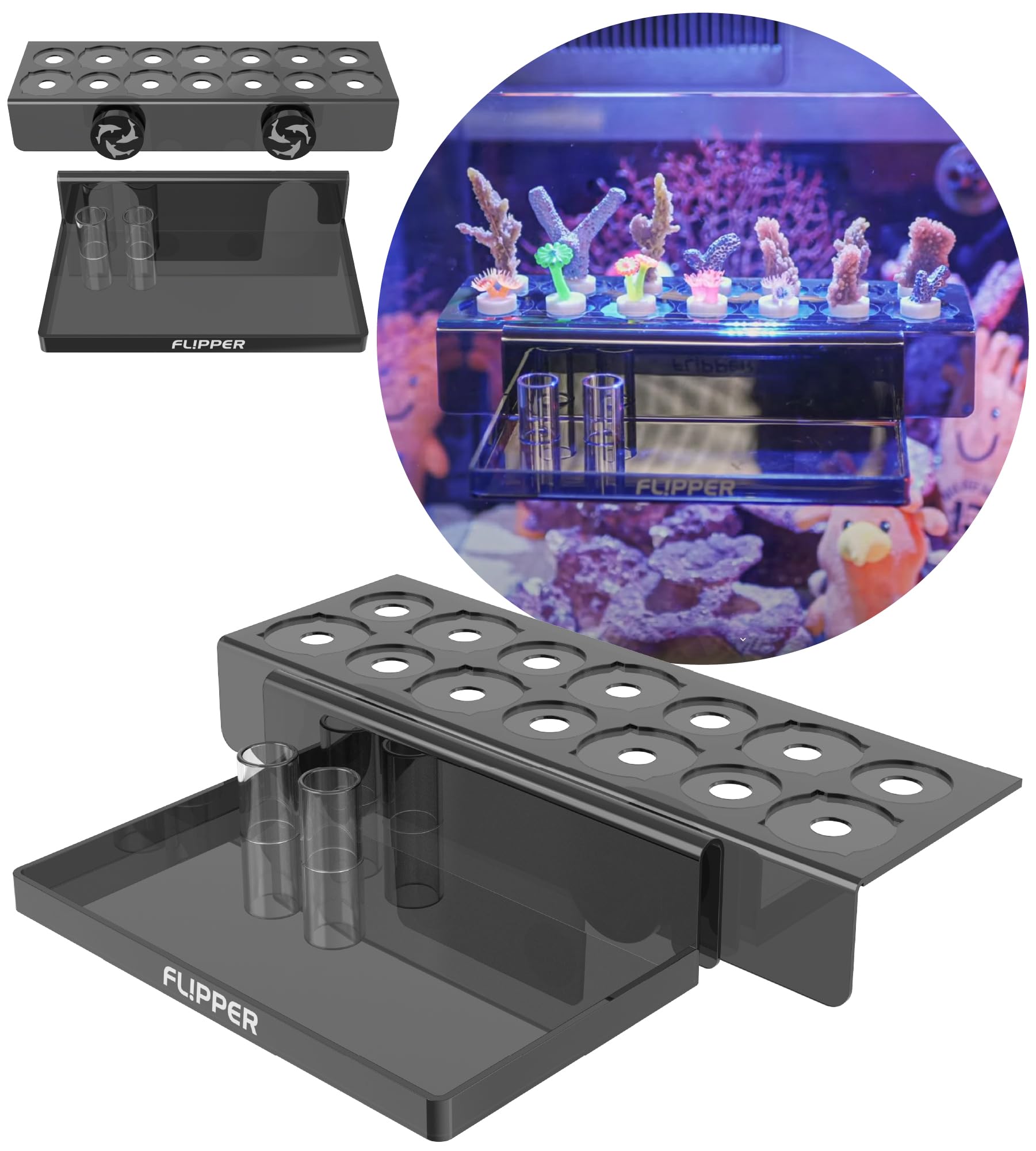 Mua FL!PPER Flipper Magnetic Frag Station Aquarium Rack with Removeable ...