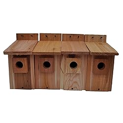 Handmade Birdhouse by Cedarnest