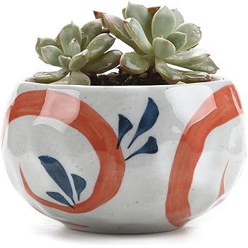 Amazon.com: T4U 3 Inch Ceramic japanese Style Serial No.5 succulent ...