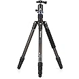 Amazon.com : Benro Travel Angel 2 Series Carbon Fiber Tripod w/ V1E ...