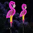 Amazon.com : Flamingo Solar Lights Outdoor Decor, Solar Pink Flamingos ...
