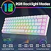RK ROYAL KLUDGE RK68 (RK855) Wired 65% Mechanical Keyboard, RGB Backlit ...