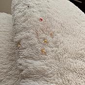 Amazon.com: ORB Molecules Ryan's World Dinosaur: Toys & Games