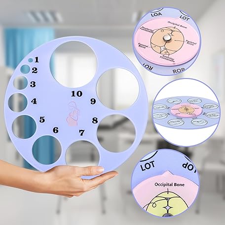 Mua Cervical Dilation Board,Cervical Dilation Board for Midwife Doula ...
