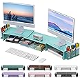 Amazon.com: gianotter Dual Monitor Stand Riser, Desk Organizer With ...