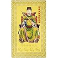 Amazon.com: 2024 Feng Shui Tai Sui Amulet Card Chinese Wisdom General ...