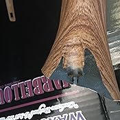 Amazon.com: WaxonWare 12.5 Inch Non Stick Wok With Glass Lid Coated ...