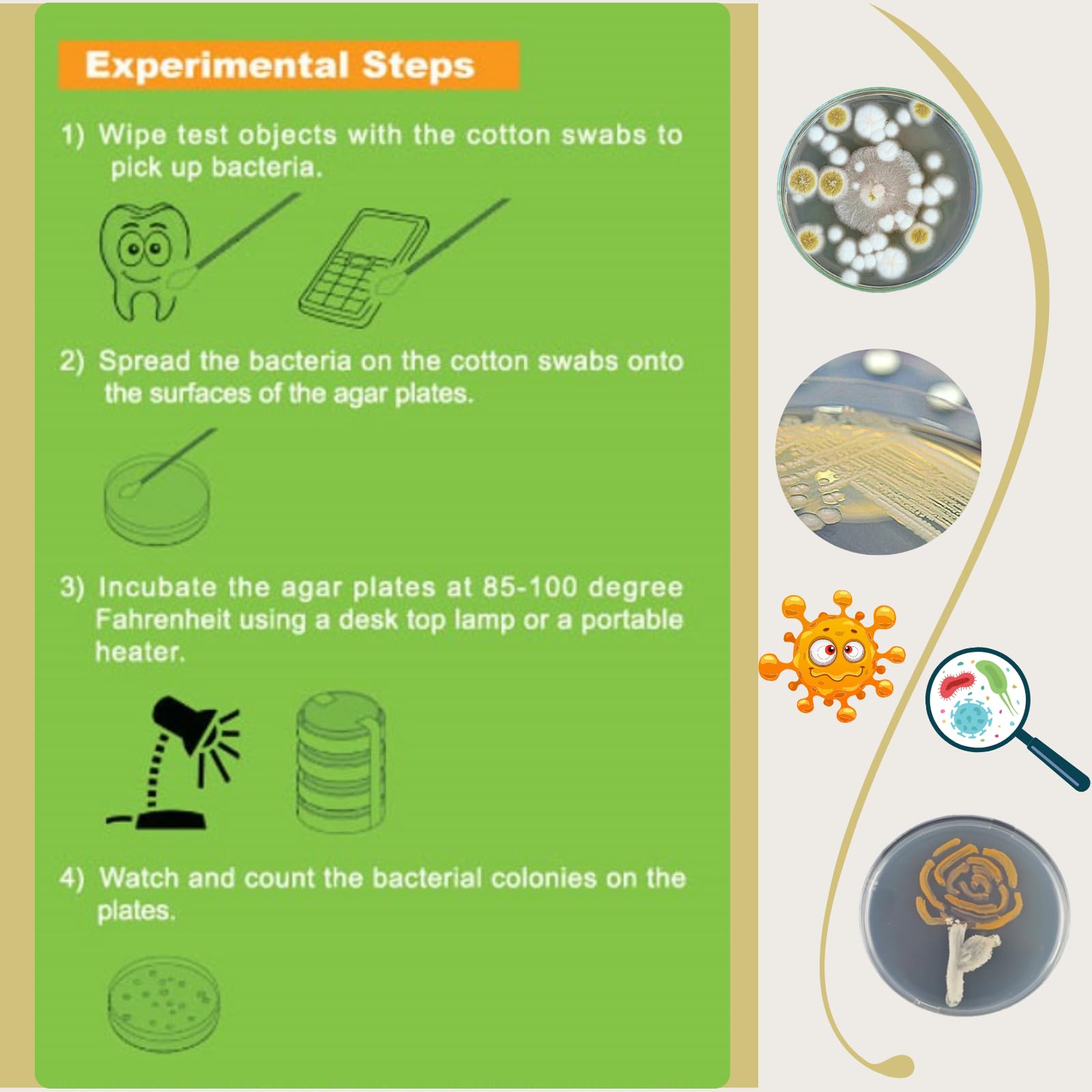 Mua Bacteria Science Kit (IV) (Gift Pack): Prepoured LB-Agar Plates and ...