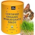 Amazon.com : Certified Organic Cat Grass Seeds | 1lb of Wheatgrass ...