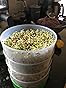 Amazon.com: Kitchen Crop VKP1200 Seed Sprouter, | 6" Diameter Trays, 1 ...