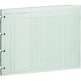 Amazon.com : Wilson Jones G1020 Accounting Sheets, 20 Column, 9-1/4 x ...