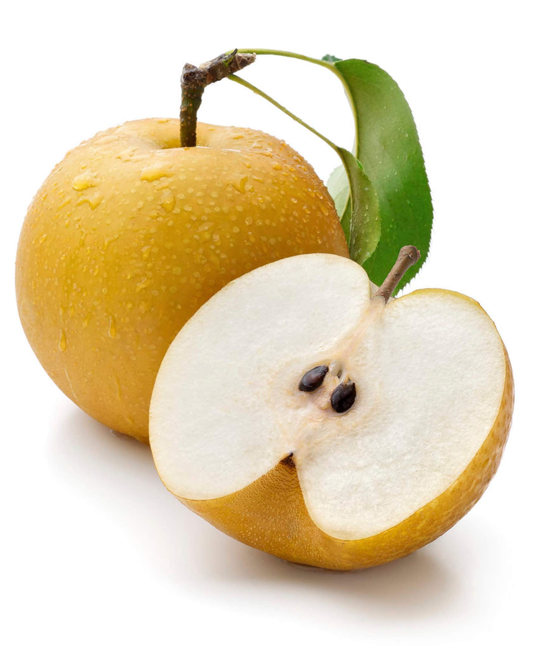 Buy Asian Pear 10 - Chinese Sand Pear , Pyrus Pyrifolia , Edible Fruit ...