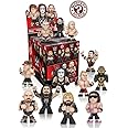Amazon.com: Funko Mystery Mini: WWE - Series 2 - One Mystery Figure ...