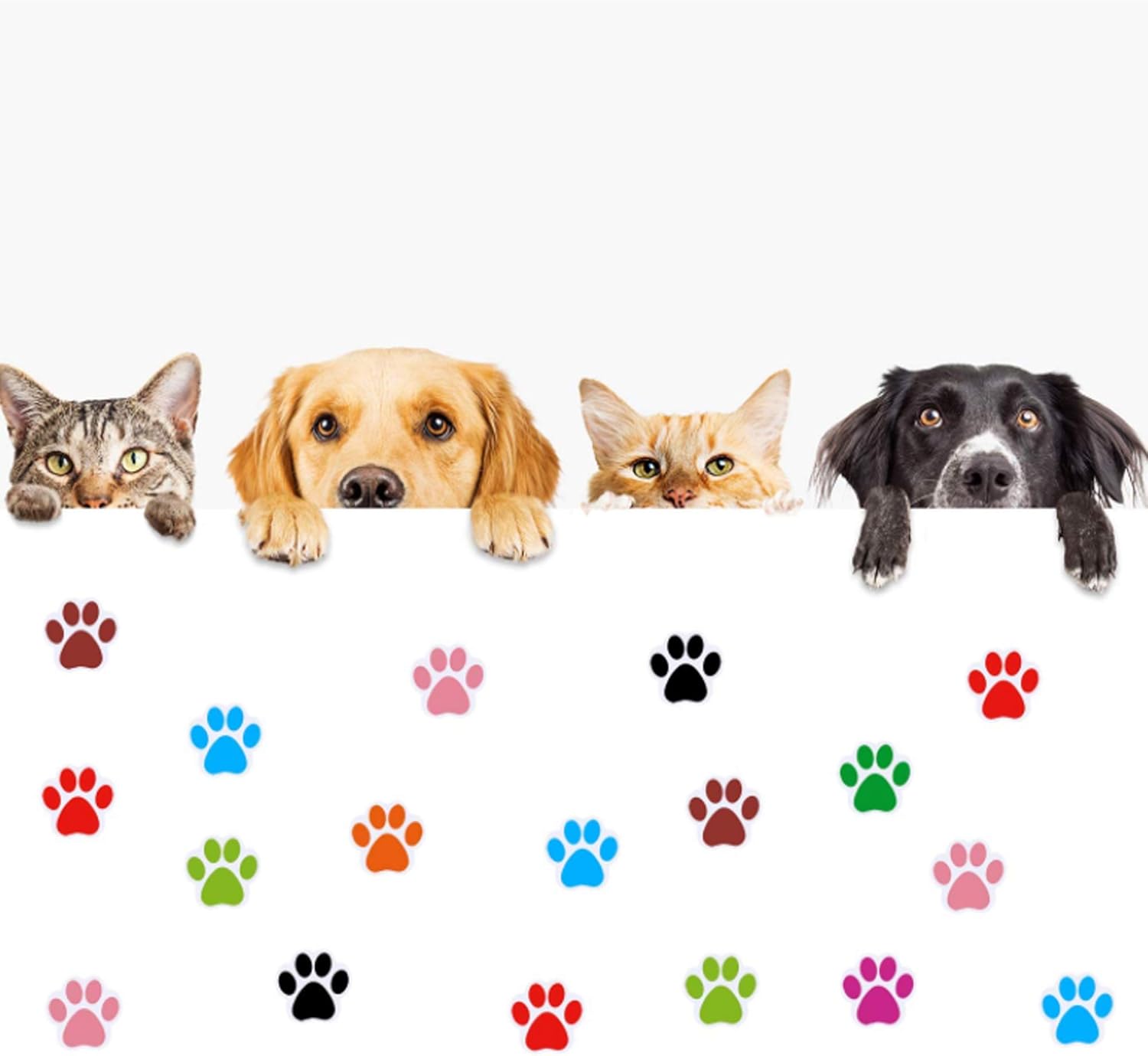 2 Roll of 1000 Pieces Colorful Paw Print Stickers Dog Paw Labels ...