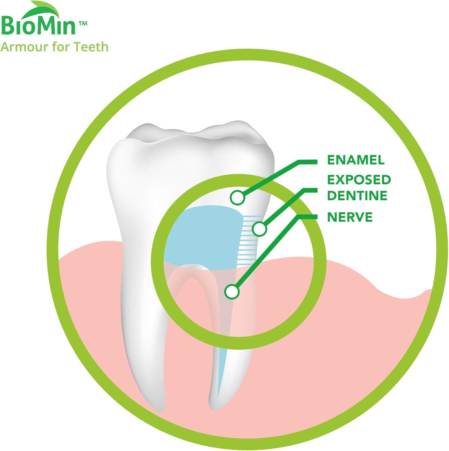 BioMin F Fluoride Toothpaste - BigaMart