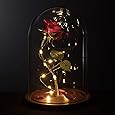 Amazon.com: Life-Sized 13" Enchanted Rose that Lasts Forever in Glass ...