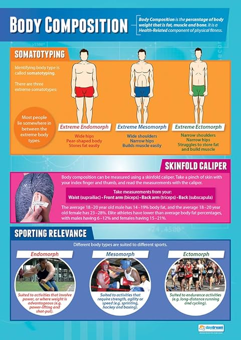 Body Composition | PE Posters | Laminated Gloss Paper measuring 850mm x ...