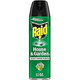 Amazon.com: Raid Multi Insect Killer, Orange Breeze 15 Ounce (Pack of 1 ...