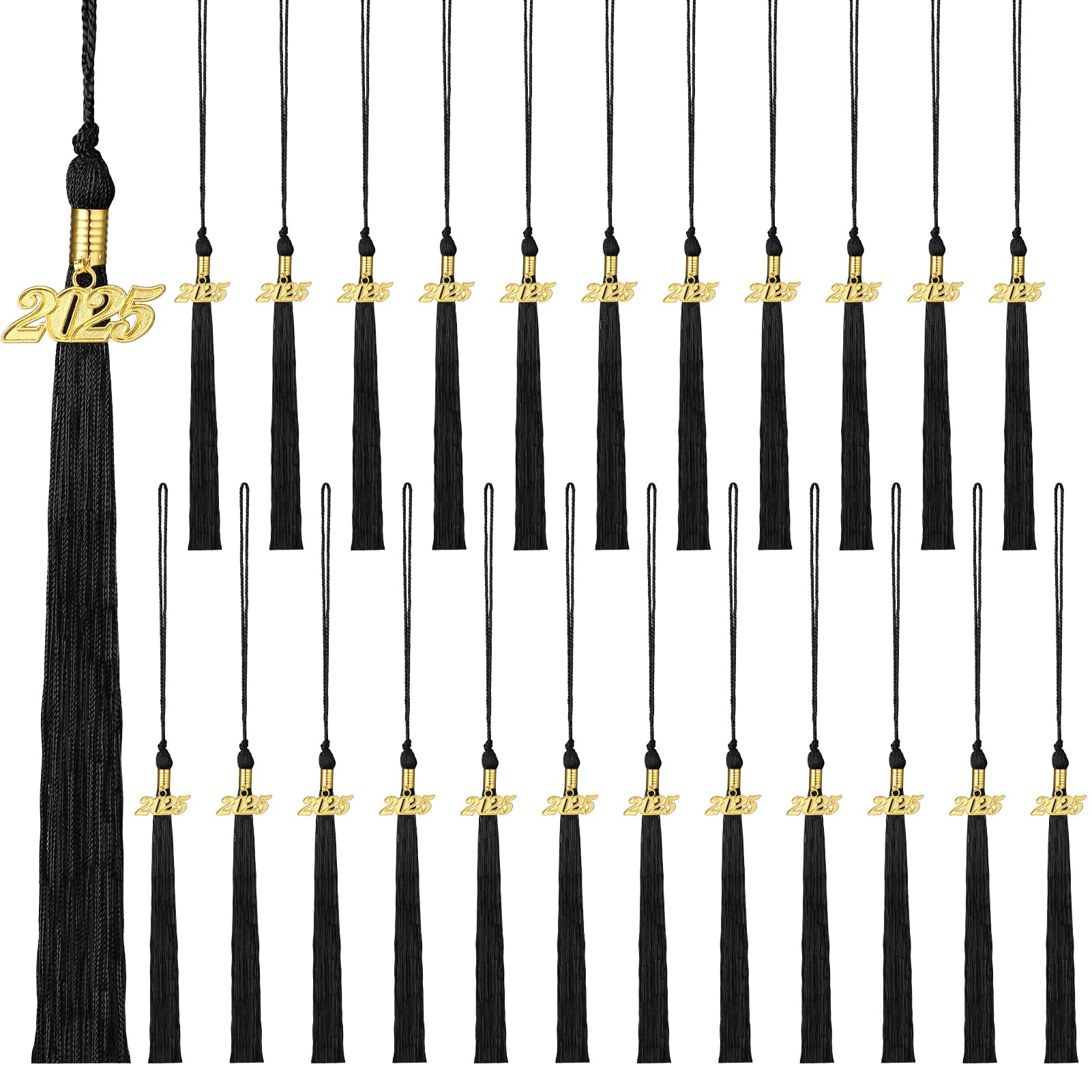 Fingertip WD 24 Pieces 2025 Graduation Tassel, Graduation Cap Tassels ...