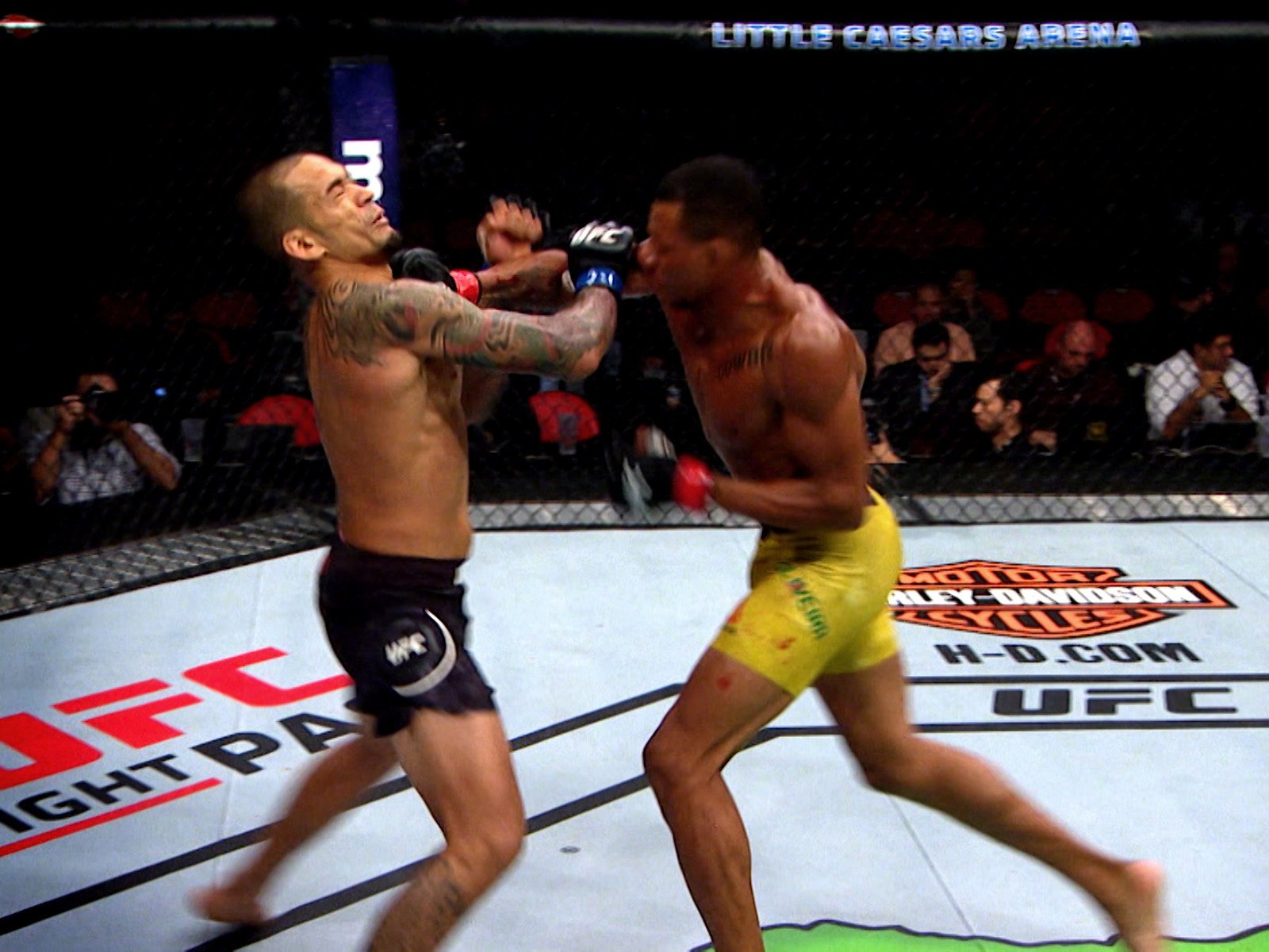 Amazon.de: UFC NOW - Season 5 ansehen | Prime Video