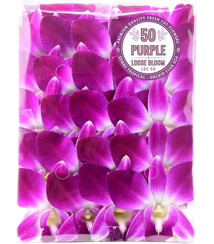 Dendrobium Orchid Edible