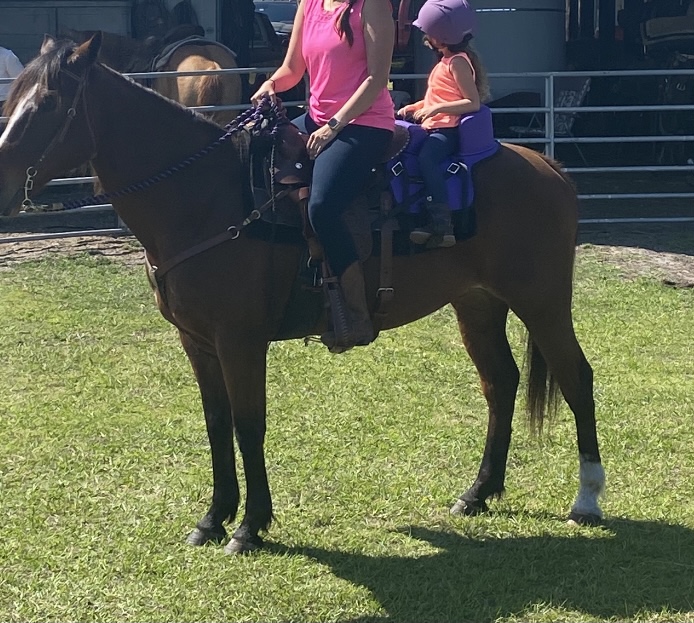 $15/mo - Finance HILASON Western Horse Saddle Buddy Seat for Kids ...