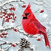 Amazon.com: SJUTOUCI Cardinal Diamond Painting Kits for Adults, Diamond ...