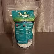 X-PUR 100% Xylitol Gum Mint Flavor 500 Pieces: Amazon.ca: Health ...