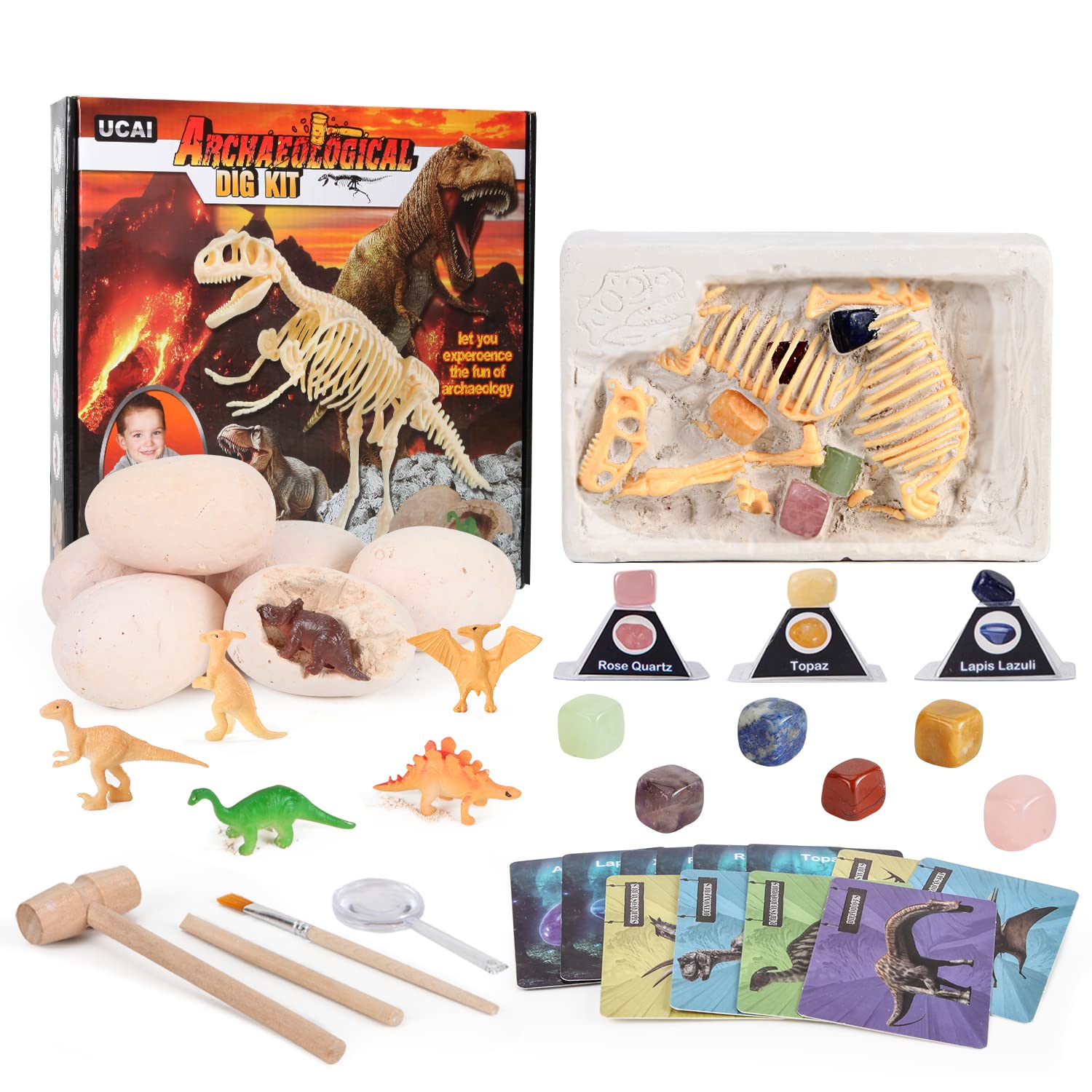 Mua Dinosaur Eggs Excavation Dig Kit, Discover Dinosaur Fossils and 6 ...