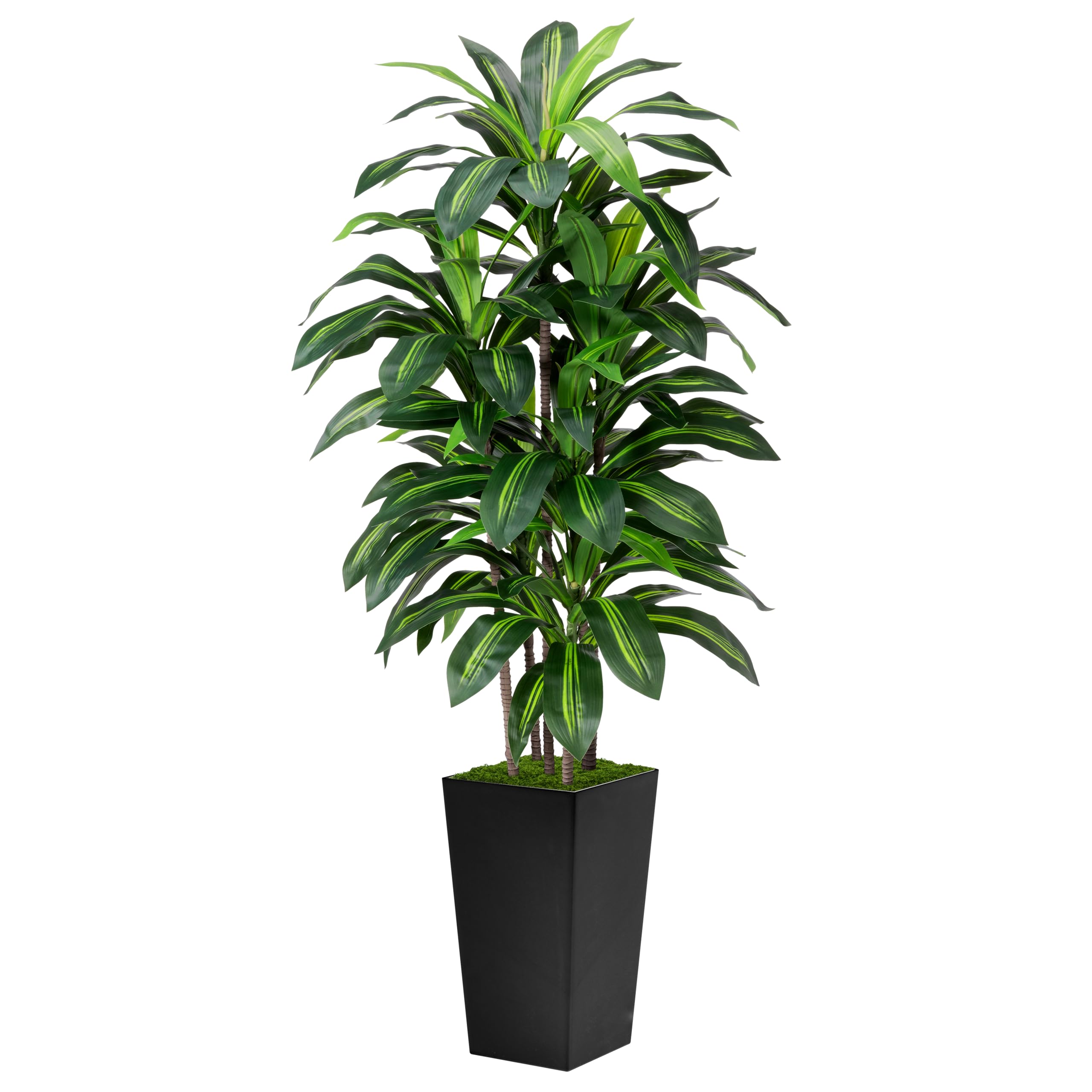Artificial Dracaena Tree 5FT - Fake Tree with Black Tall Planter - Faux ...