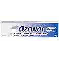Ozonol Ointment, Original Formula | Non-Stinging | Soothing Relief ...