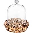 Amazon.com: Creative Co-Op, Clear Round Glass Cloche with Woven Willow ...