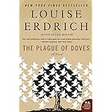 Amazon.com: The Painted Drum: A Novel (P.S.): 9780060515119: Erdrich ...