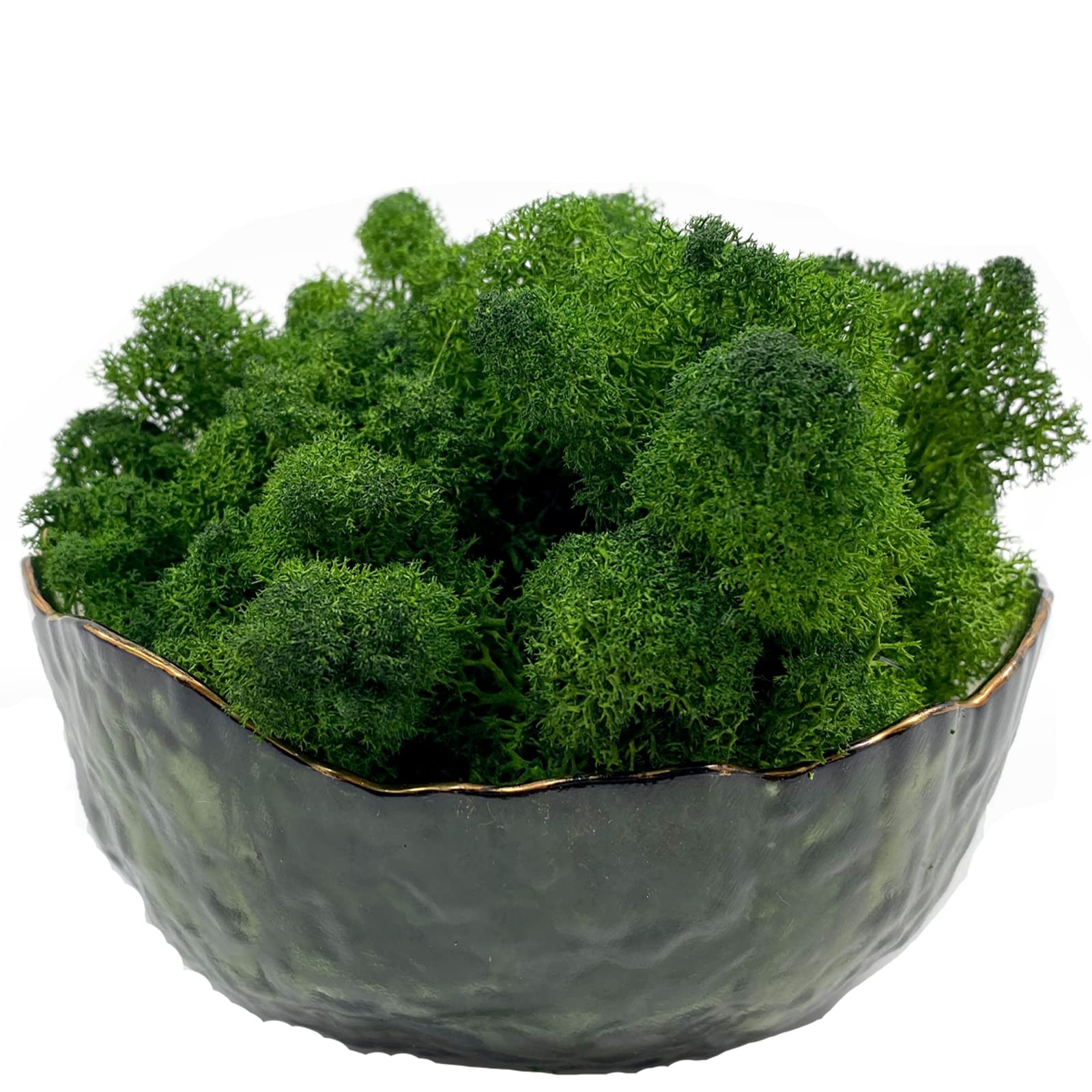 Moss Preserved Moss for Potted Plants Natural Fresh Green Reindeer Moss ...