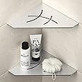 Amazon.com: Bernkot Corner Shower Shelf 10" Brushed 304 Stainless Steel ...