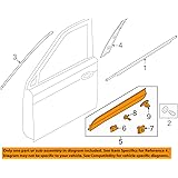 Amazon.com: Front Door-Side Molding Right Side for Hyundai Santa Fe 13 ...